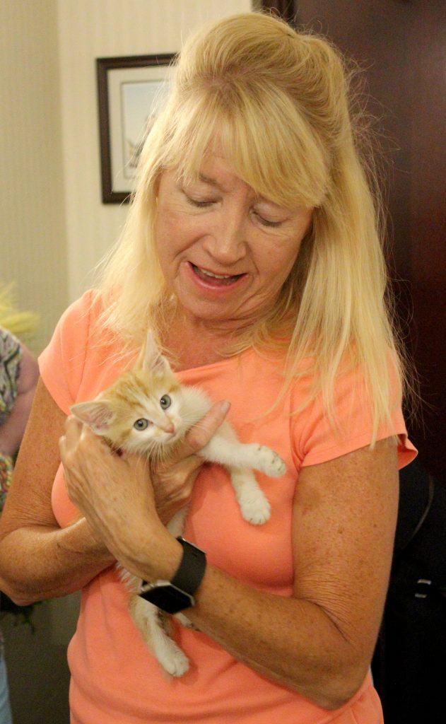 The Catholic Post With the pastor away, the kittens came to play at ...