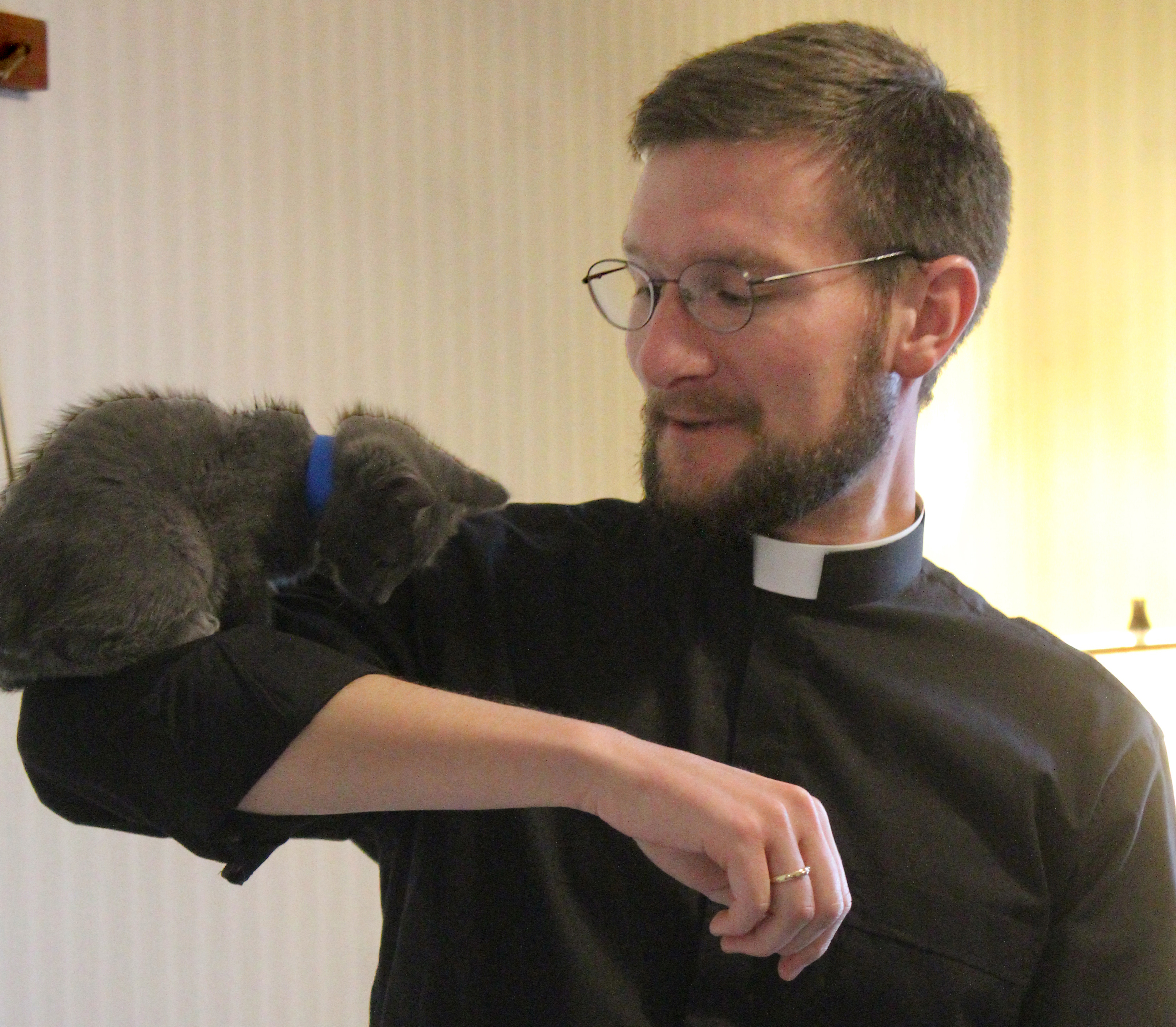 The Catholic Post With the pastor away, the kittens came to play at ...