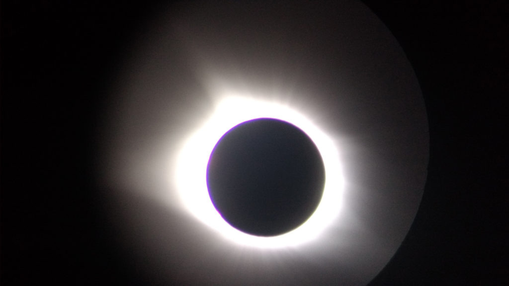 The Catholic Post Budding scientists at St. Philomena, Peoria, track ...