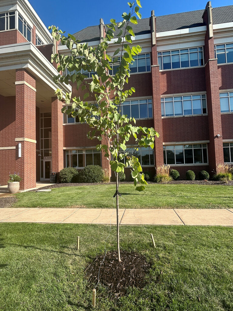 The Catholic Post Diocese of Peoria Plants Roots for the Future with ...